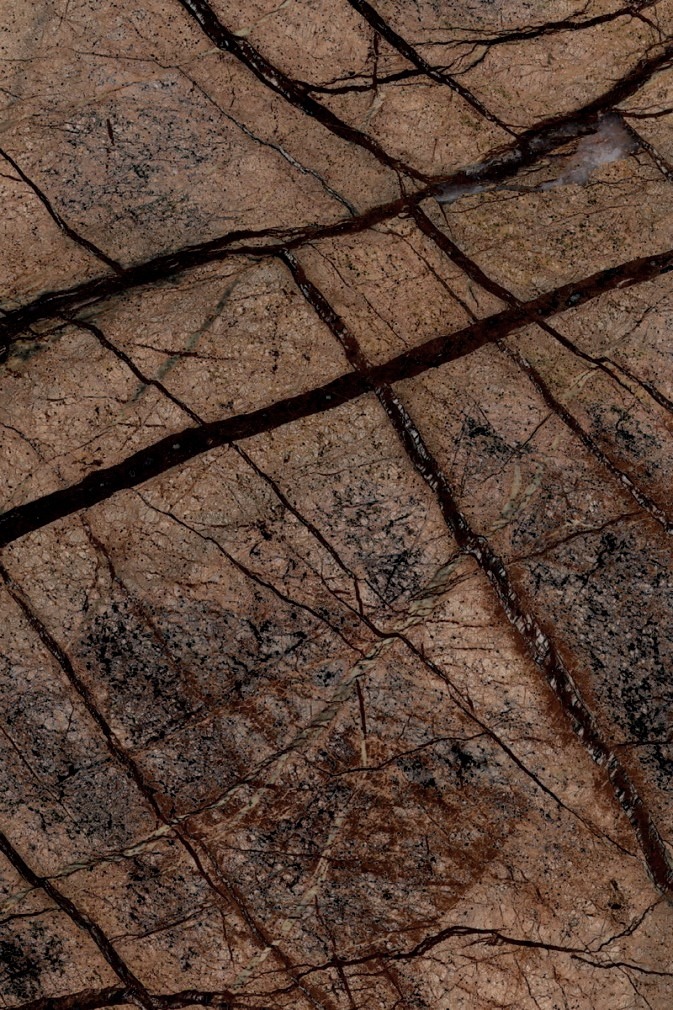Rainforest Brown Marble - Tramar Group